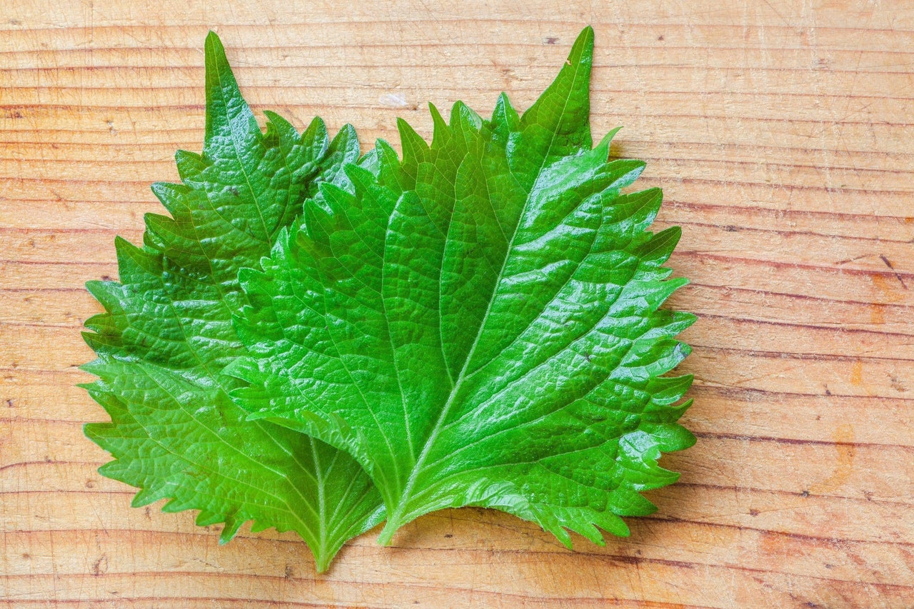 Meet Shiso – The Delicious and Decorative Japanese Herb
