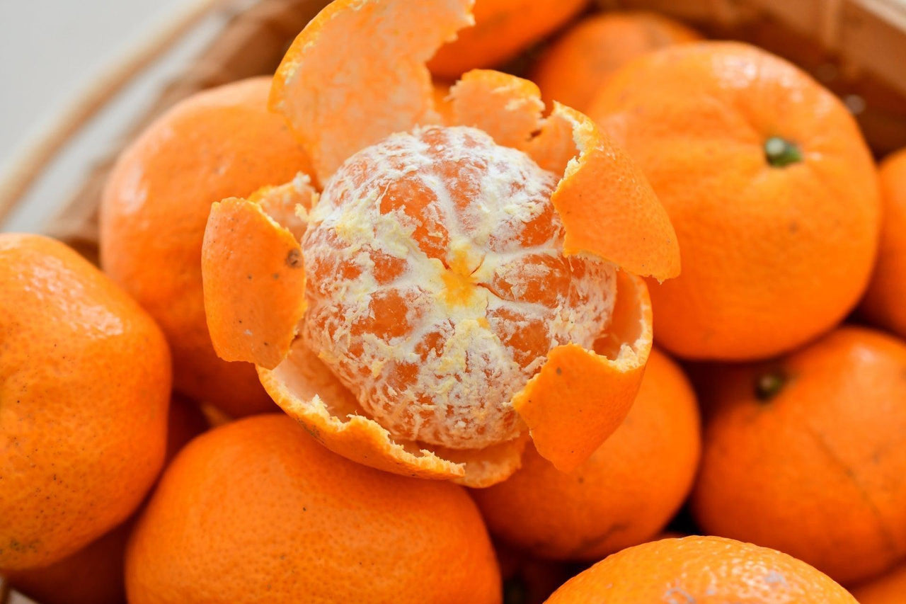 Uncovering Japanese Mandarins – Characteristics, Varieties, and Popula ...