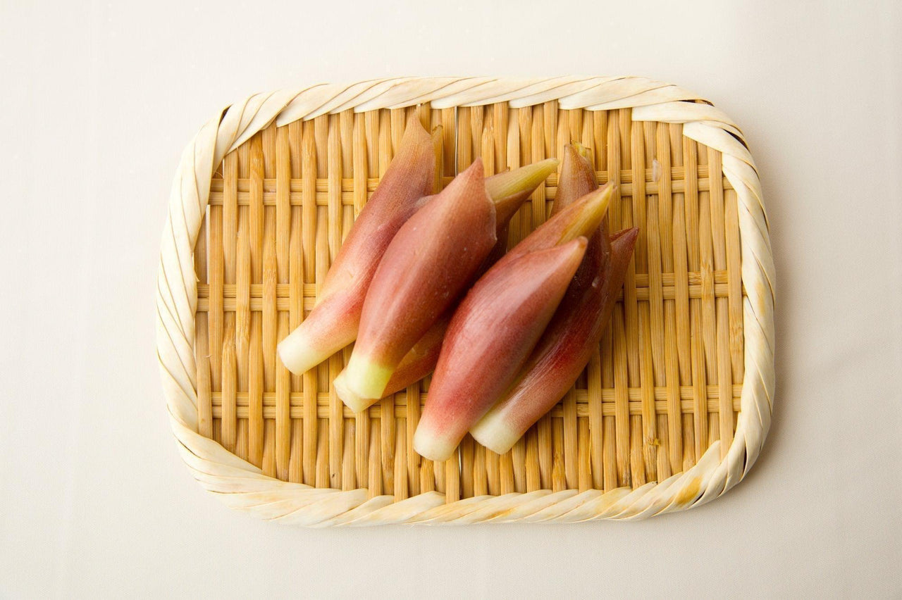 What Is Japanese Ginger? – A Brief Guide to Myoga – Japanese Taste