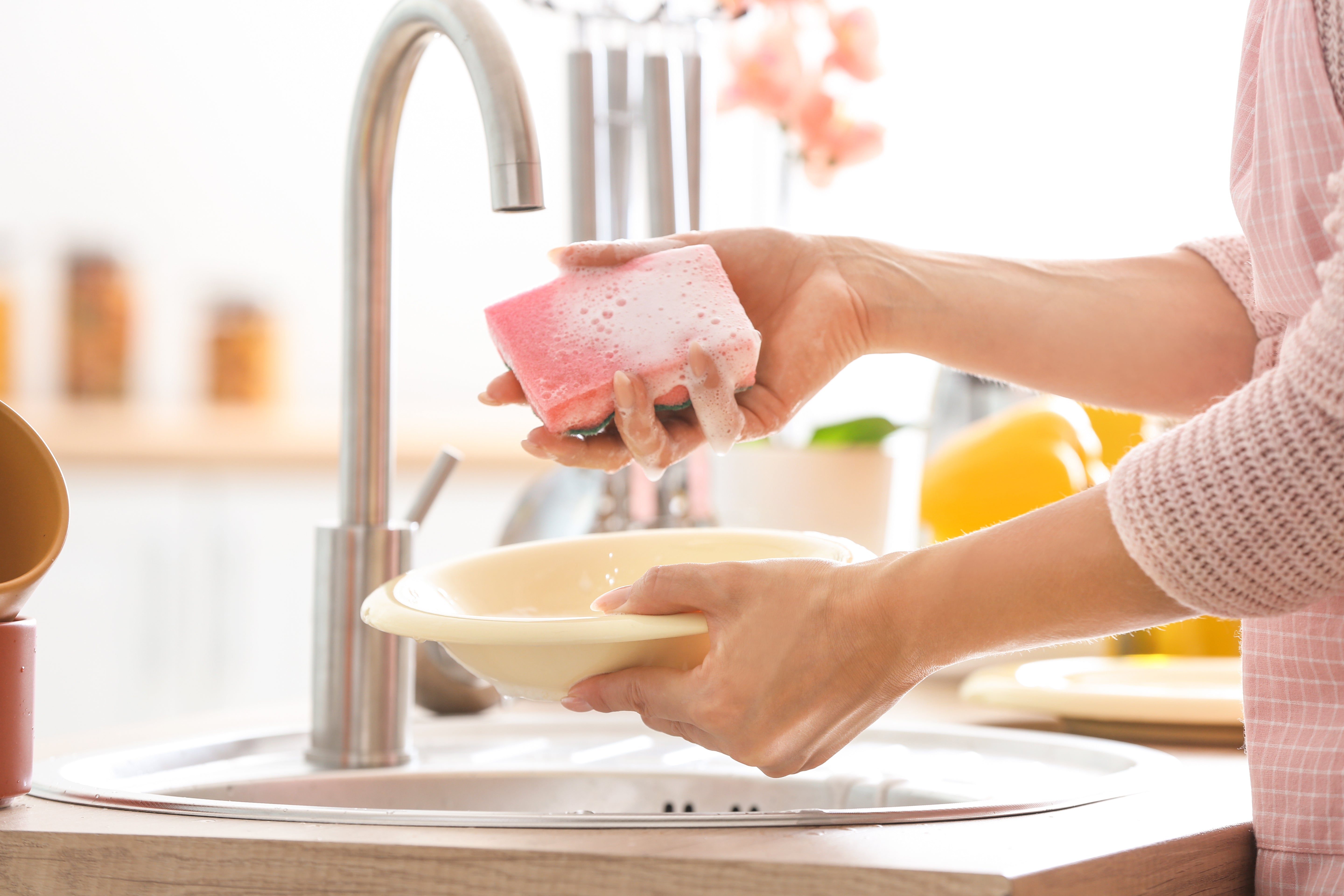 Buy Quality Dish Sponges Online