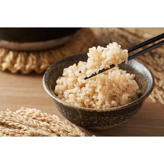 Organic Koshihikari Genmai Rice Japanese Brown Rice 2kg – Japanese Taste