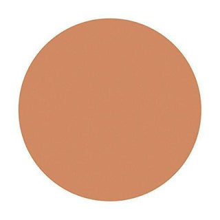 Shiseido Spots Cover Foundation Base Color 20g - S100